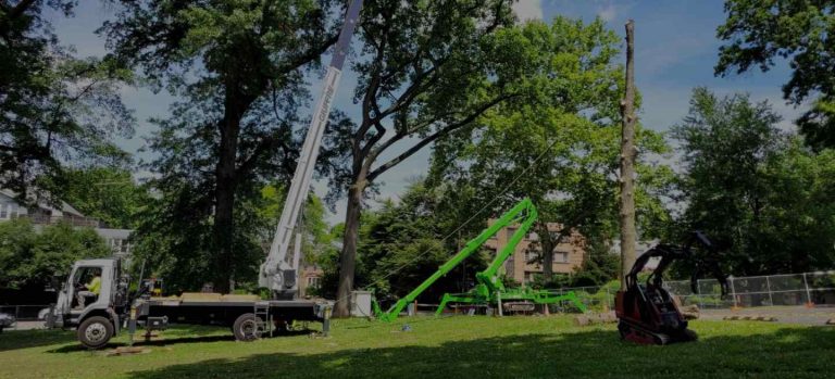 Pittsburgh's Best Tree Service Company | Greater Pitt Tree Service LLC