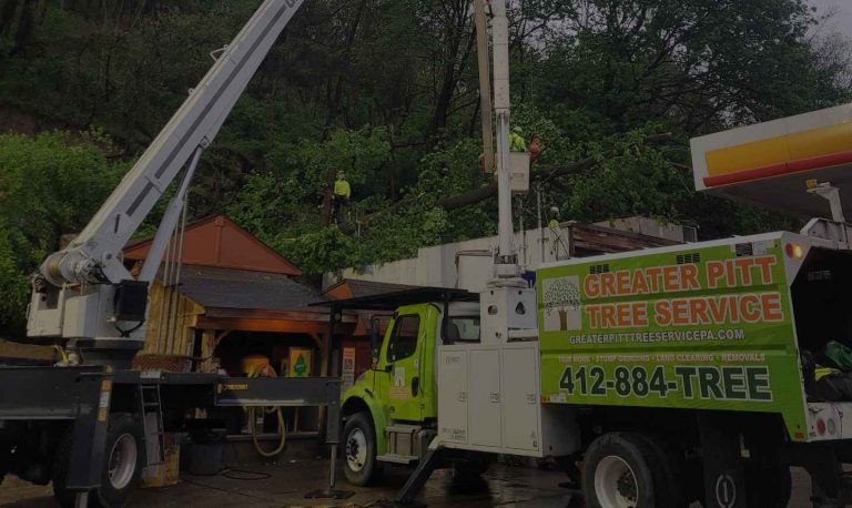 Pittsburgh's Best Tree Service Company | Greater Pitt Tree Service LLC